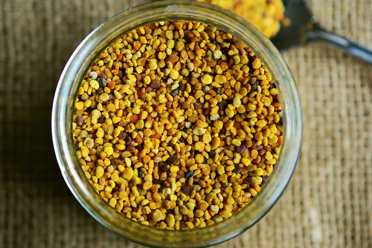 Del polline e delle api: tutto quello che c'è da sapere • Pinvi