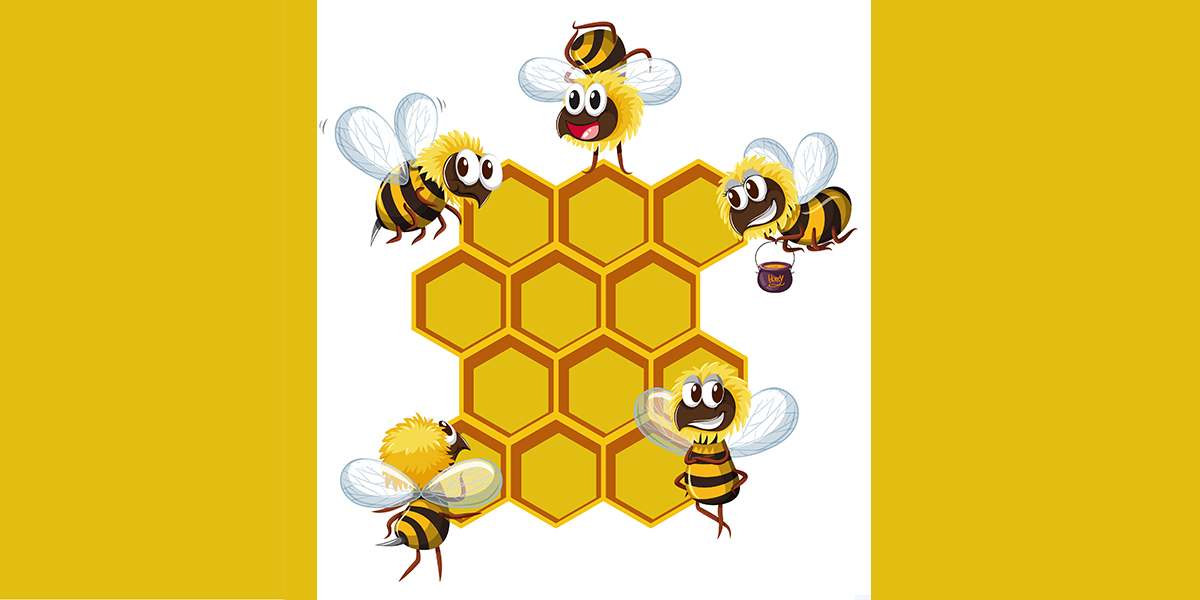 Il lavoro di squadra? Ce lo insegnano le api • Pinvi