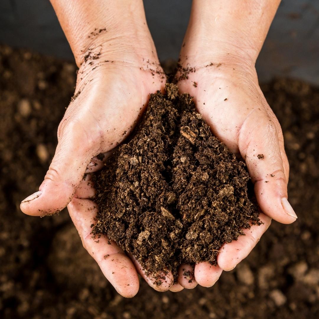 Come fare compostaggio: materiali, tecniche, usi del compost • Pinvi