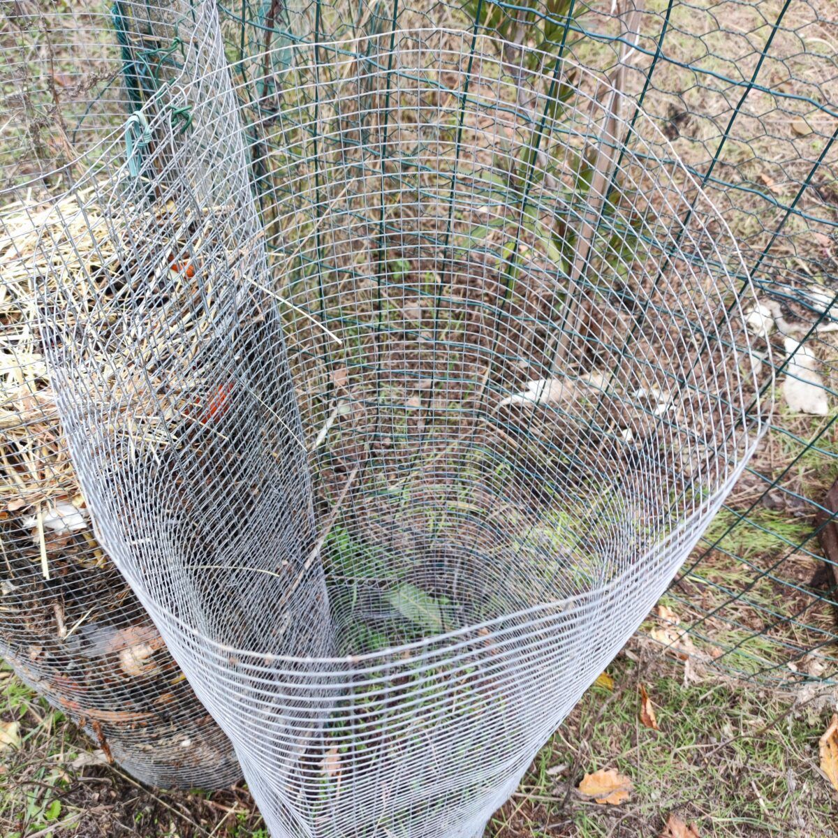 Come fare compostaggio: materiali, tecniche, usi del compost • Pinvi