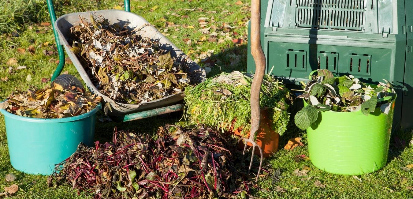 Come fare compostaggio: materiali, tecniche, usi del compost • Pinvi