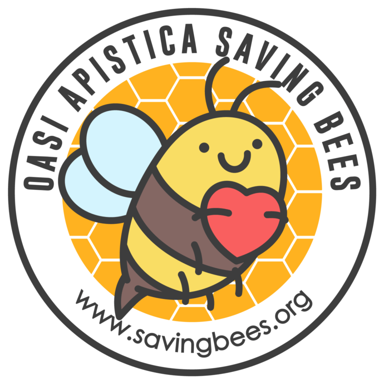 Bee My Copy - I racconti di api di Pinvi • Pinvi