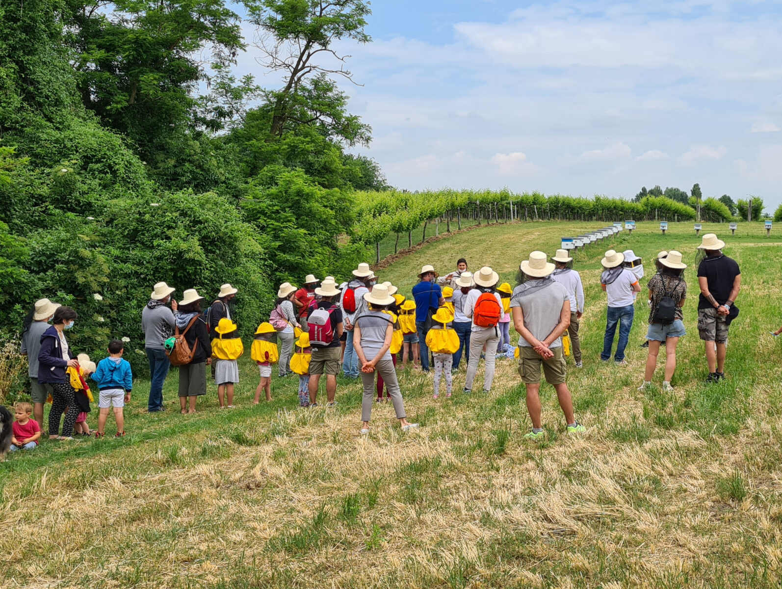 Nel cuore dell'Emilia, un viaggio alla scoperta delle api e del miele ...