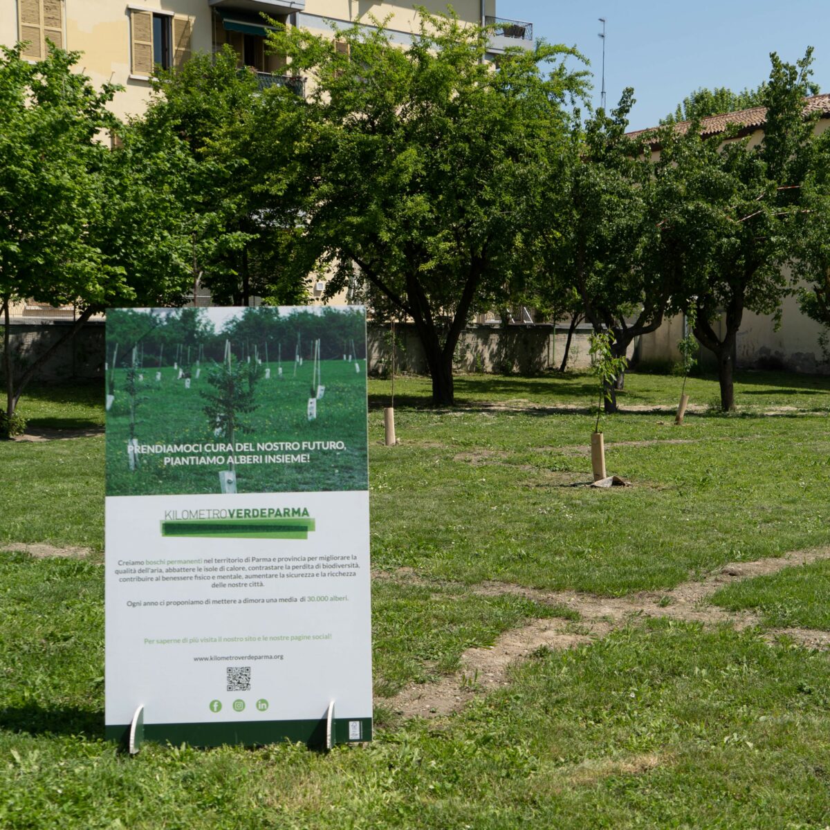 KilometroVerdeParma: 100.000 alberi per un futuro sostenibile • Pinvi